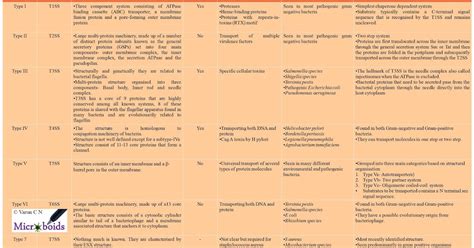 Btb 11 Bacterial Secretion Systems
