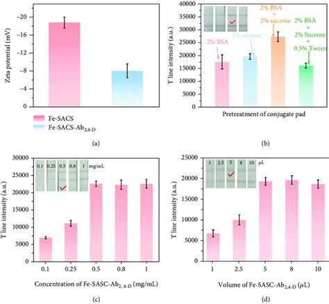 A Zeta Potential Analysis Of Fe Sasc And Fe Sasc Ab 24 D Conjugates