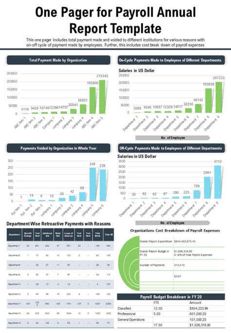 Annual Payroll Report Template