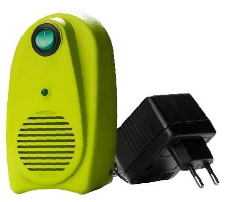 Как прогнать и отпугивать голубей - избавиться от голубей навсегда