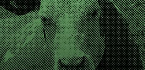 Introducing Eclipse Mainnet The Ethereum Svm L2