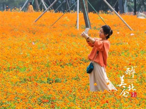 北仑春晓花海北仑春晓大山谷图库