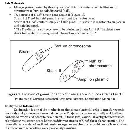 Solved Lab Materials Lb Agar Plates Treated By Three Types