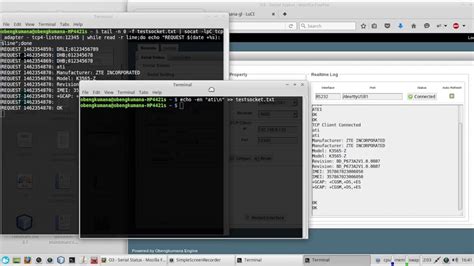 Openwrt Socat Tcp Client With Login And Heartbeat String Part 3 Youtube