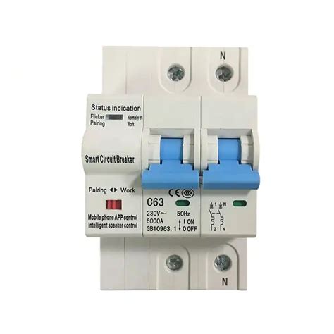 Smart Life Tuya Zigbee 2p 230v 63a 13800w 13 8kw Mcb Switch Circuit Br Digital Life