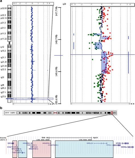 A Array CGH Graphical Output Mapping Of The Rearrangement In Download Scientific Diagram