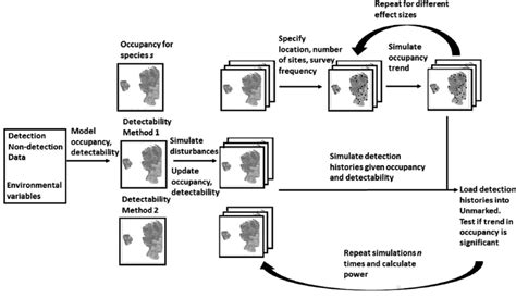 Structure Of The Spatially Explicit Power Analysis Framework For Download Scientific Diagram
