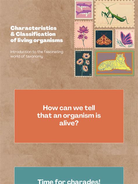 Ch 1 Classification Pdf Cell Biology Prokaryote