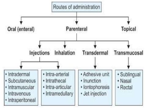 Intradermal Injection Introduction Procedure Complications Pptx