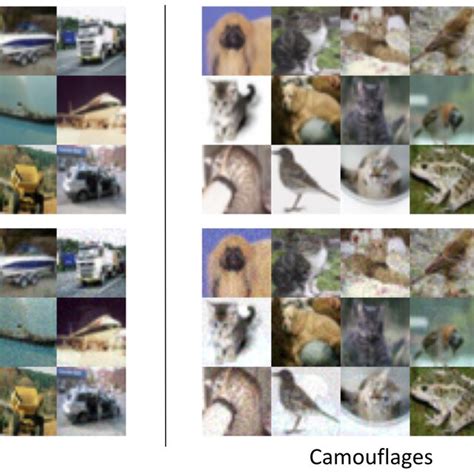 visualization of poisons and camouflages on binary cifar 10 dataset