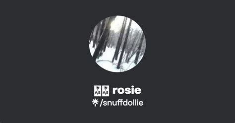 ୨୧ Rosie Tiktok Linktree