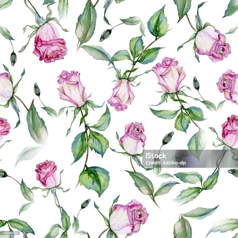 흰색 바탕에 녹색 잎 줄기에 아름 다운 핑크 장미 완벽 한 꽃 패턴입니다 수채화 그림입니다 손으로 그린 고 그린 그림 개화기에 대한 스톡 벡터 아트 및 기타 이미지 Istock