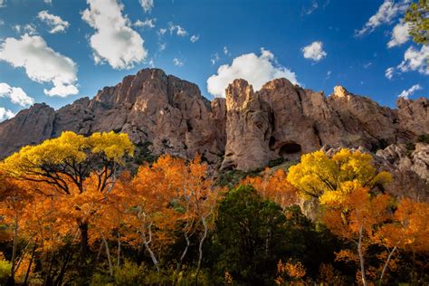 Chiricahua Mountains