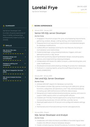 Sql Server Developer Resume Examples And Templates