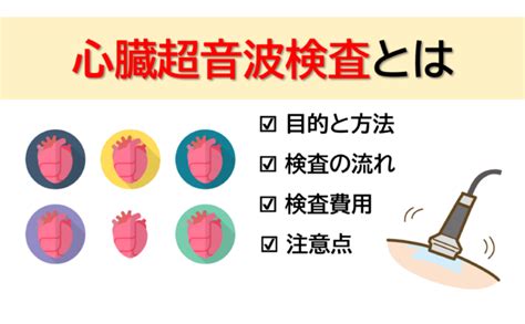 【運動生理学】運動中の心拍出量の変化 ぴんころ