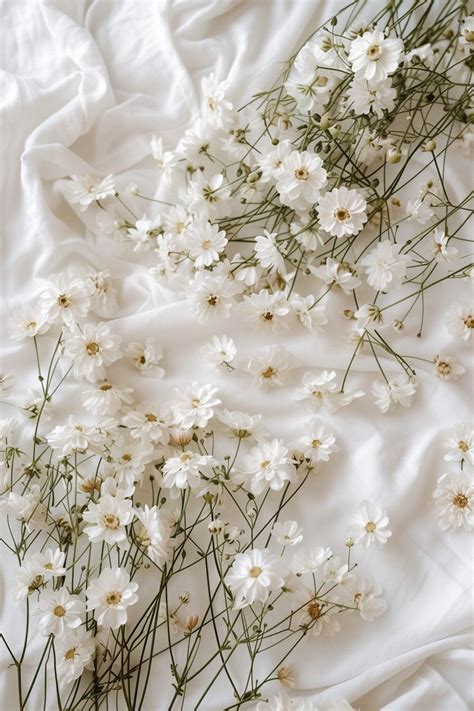 Эстетика Нежность Белые цветы Фон для Stories Минимализм в 2025 г
