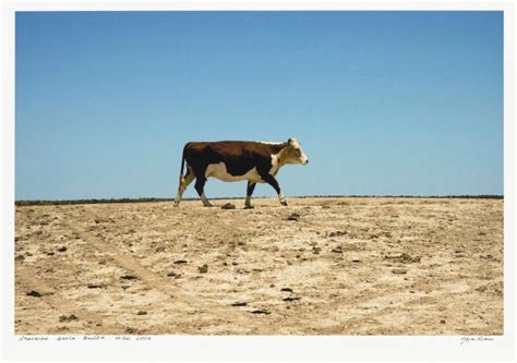 Exhibition ‘joyce Evans At The National Library Of Australia Canberra Art Blart Art And