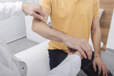 Sensitivity Test Stock Image F0439572 Science Photo Library