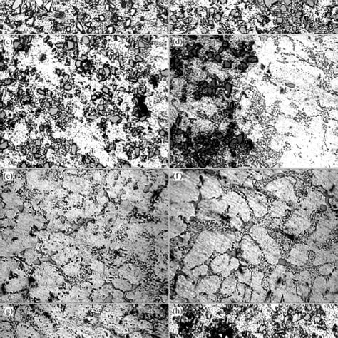 Optical Micrographs Of Sample Located At Different Positions From Download Scientific Diagram
