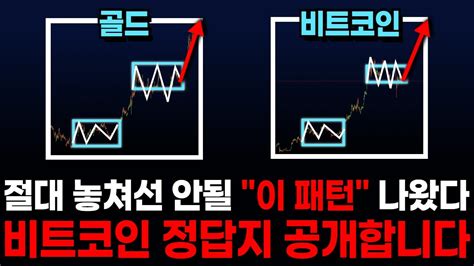 비트코인 골드 차트에 답이 있습니다 예외 없이 이렇게 흘러갈 겁니다 Youtube