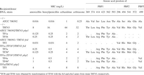 Susceptibility To B Lactams And Mutations In Pbps Of Download Table