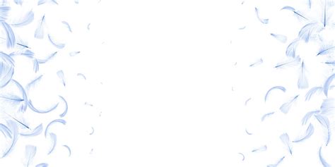 깃털이 부드럽습니다 파스텔 천사 깃털 클로즈업 텍스처패턴 벽지에 대한 흰색 배경에 떨어지는 패션 칼라 트렌드 봄 여름 0명에 대한 스톡 사진 및 기타 이미지 Istock