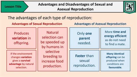 Asexual Reproduction Definition Features Types Examples 59 Off