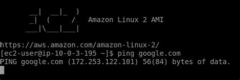 Amazon Web Services Unable To Reach Internet From Private Ec2 With