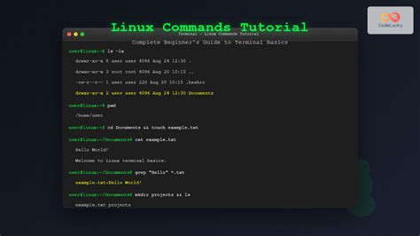 Screen Command Linux Complete Guide To Managing Multiple Terminal Sessions Codelucky