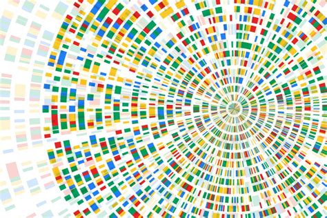 The Basics Of Genotyping Understanding The Fundamentals Xcode Life