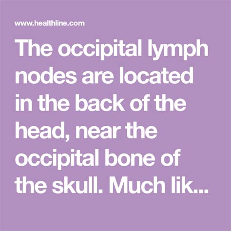Occipital Lymph Nodes Anatomy Diagram And Function Body Maps Lymph Nodes Body Map Occipital