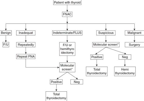 Algorithm For Approach To Thyroid Nodules With Molecular Markers Download Scientific Diagram