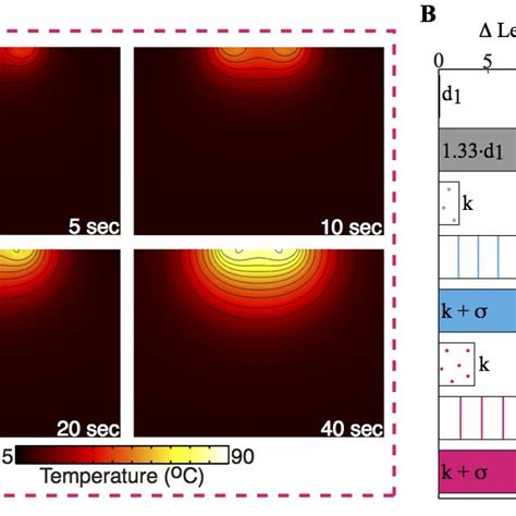 Modeled Temperature Distribution And Lesion Depth A Example