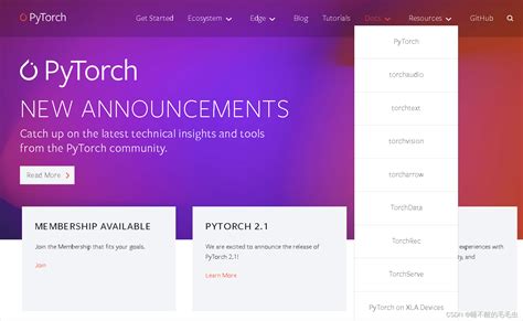 官方数据集的下载方法pythorch官网数据集在哪 Csdn博客