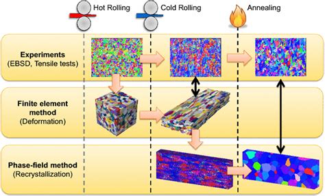 combined crystal plasticity and phase field method for recrystallization in a process chain of