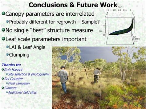 Relationships Between Forest Structure Measurements Ppt Weather Science
