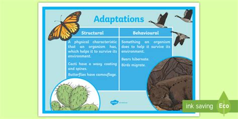 Behavioral Vs Structural Adaptations Chart