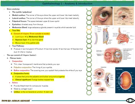 Ophthalmology Anatomy Overview Pdf