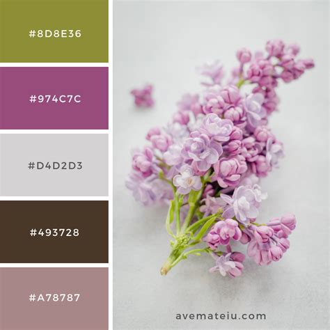 Lilac Colour Palette