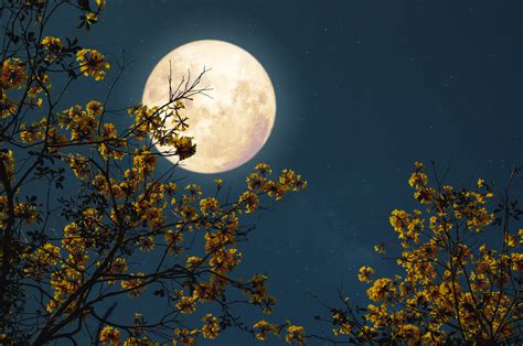 The Importance Of Full Moons Expert Psychics