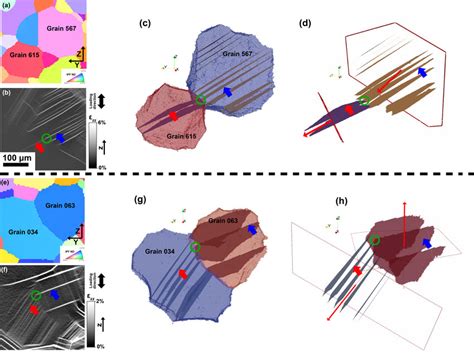 Two Transmission Events Observed By Dct And Topotomography A E Ebsd Download Scientific