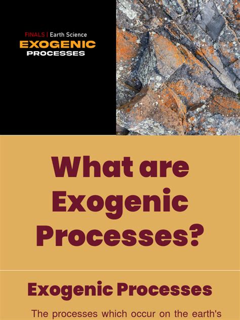 Esci Lesson 8 Exogenic Processes Pdf