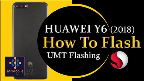 Test Point Y6 2018 At Tami Lumley Blog