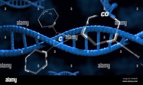 Image Of Scientific Data Processing Over Dna Strands Spinning Stock