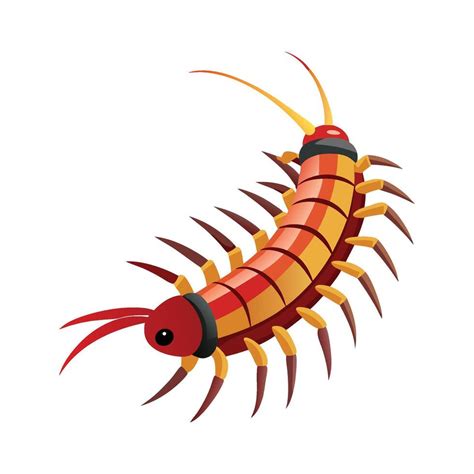 Cute Centipede Character Art 58981131 Vector Art At Vecteezy
