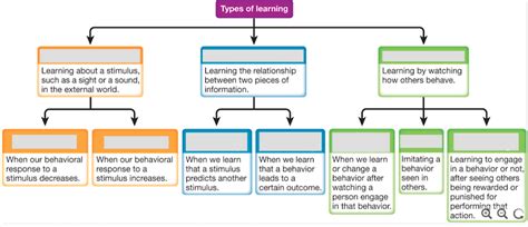 Chapter 6 Learning Diagram Quizlet