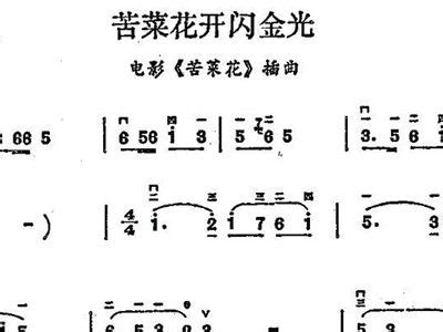 苦菜花开闪金光 歌谱 简谱