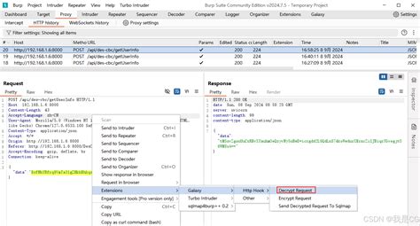 Burpsuite加解密插件galaxy使用第二课教程burp Galaxy Csdn博客 Burpsuite加解密插件galaxy使用第二课教程burp Galaxy Csdn博客