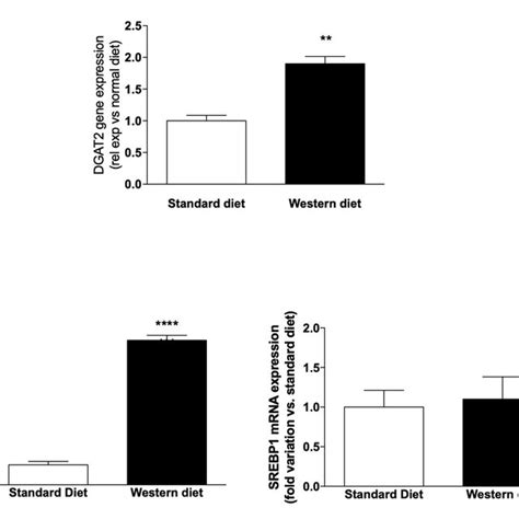Mrna Expression Of Genes Involved In Lipid Synthesis And Metabolism