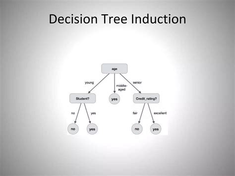 Classification Algorithms Ppt